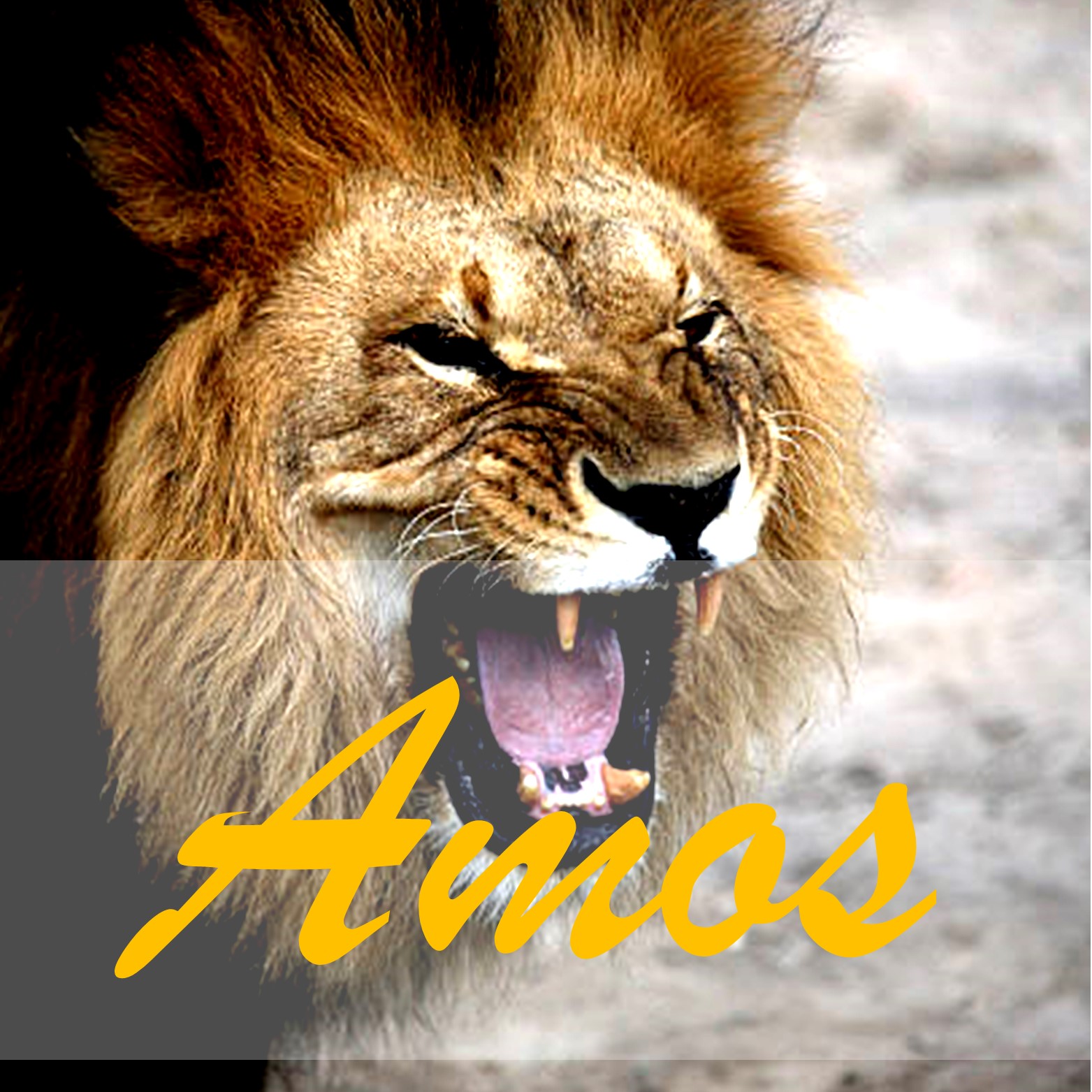 Emmanuel Church Handsworth : Amos